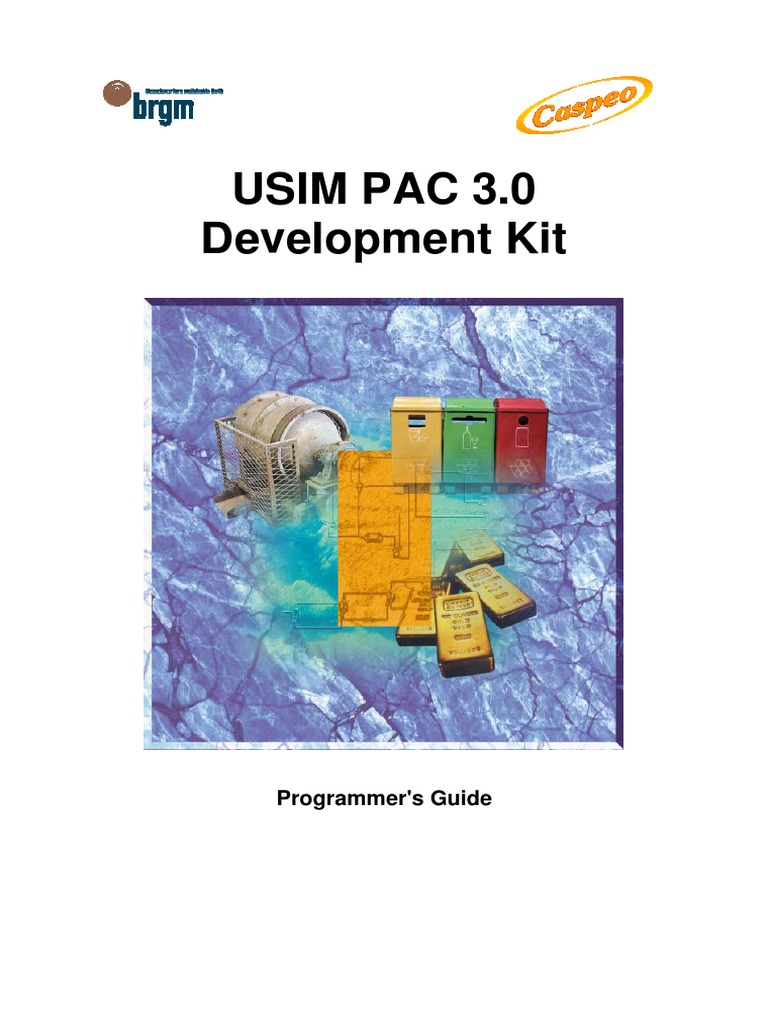 USIM PAC 30 Programmers Guide PDF | PDF | Icon (Computing) | Parameter (Computer Programming)