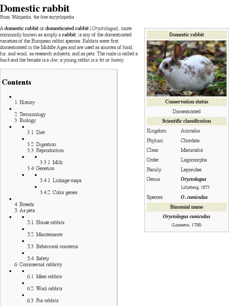 Domestic Rabbits | PDF | Animals And Humans | Animal Diseases