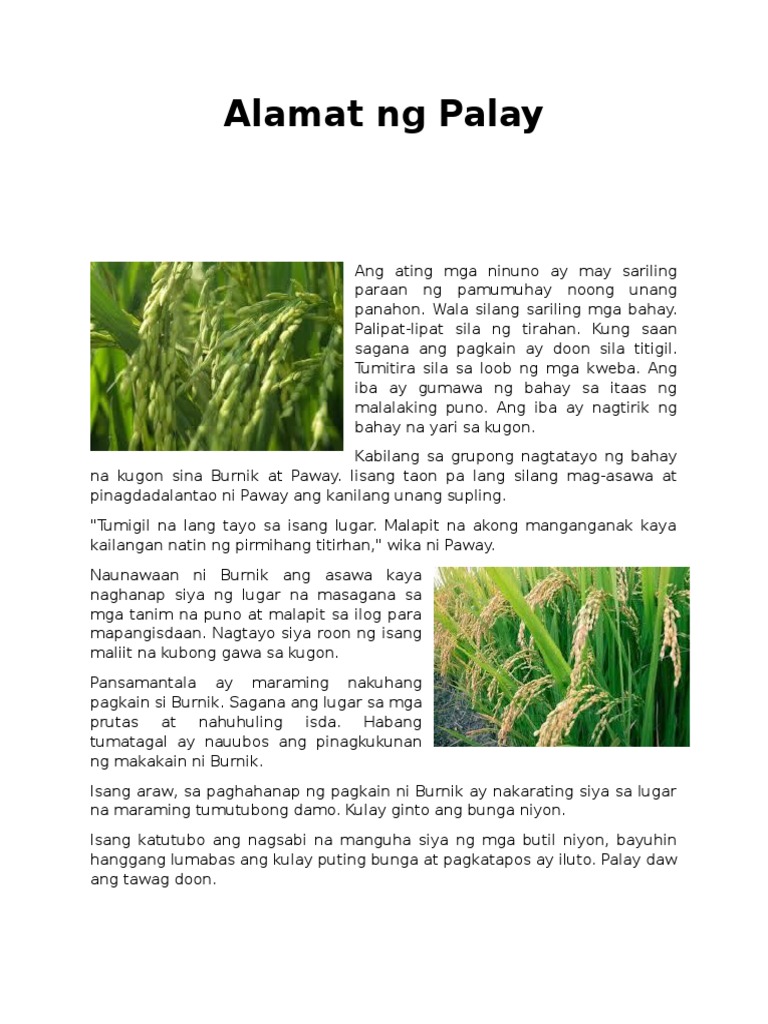 Alamat NG Palay | PDF