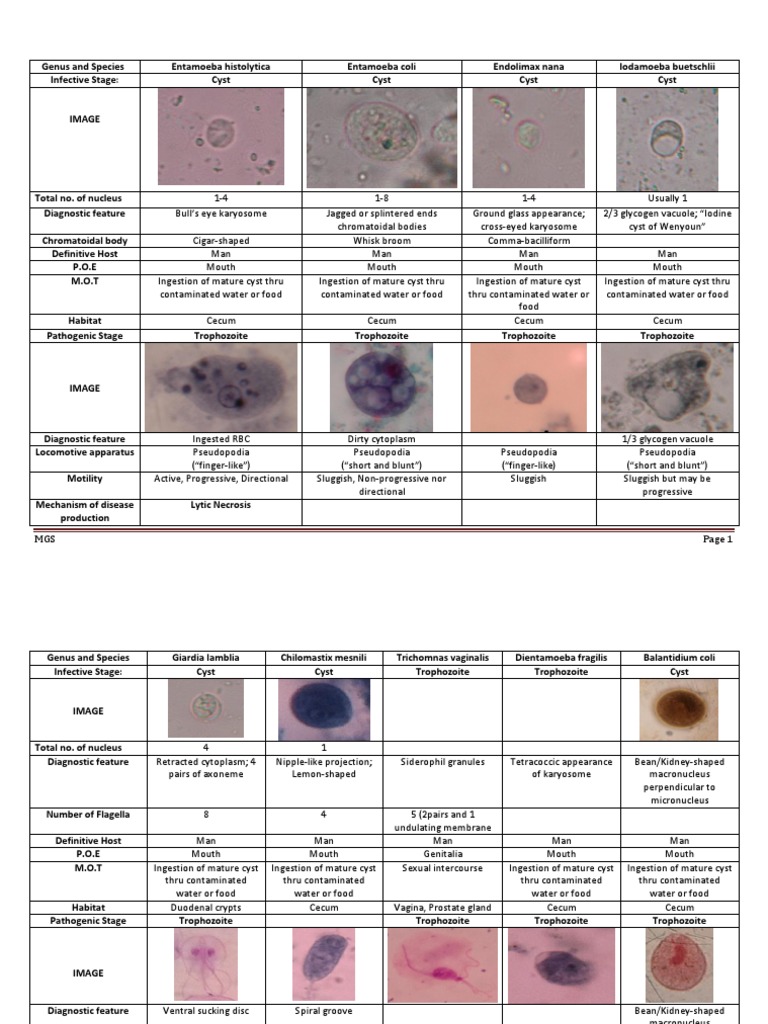 Parasitic Organisms Overview Guide | PDF | Parasites | Medical Specialties