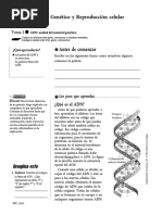 Sesión de Aprendizaje 2 | PDF | Adn | Replicación De Adn