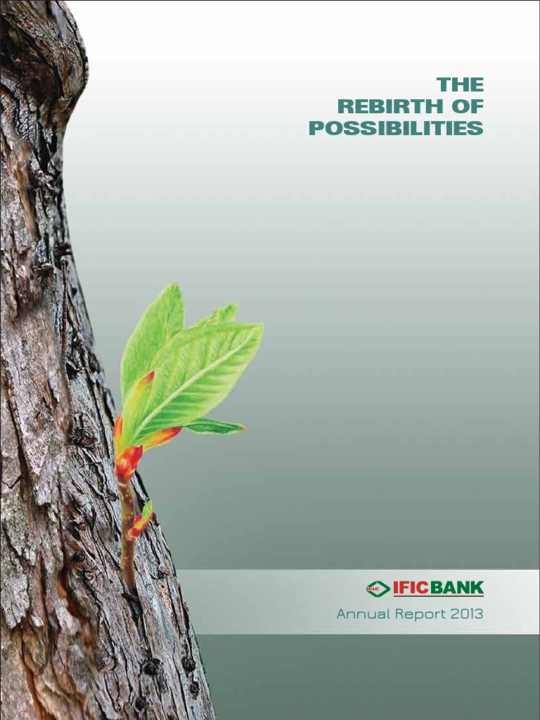 IFIC Annual Report 2013 Final | PDF | Banks | Economic Growth