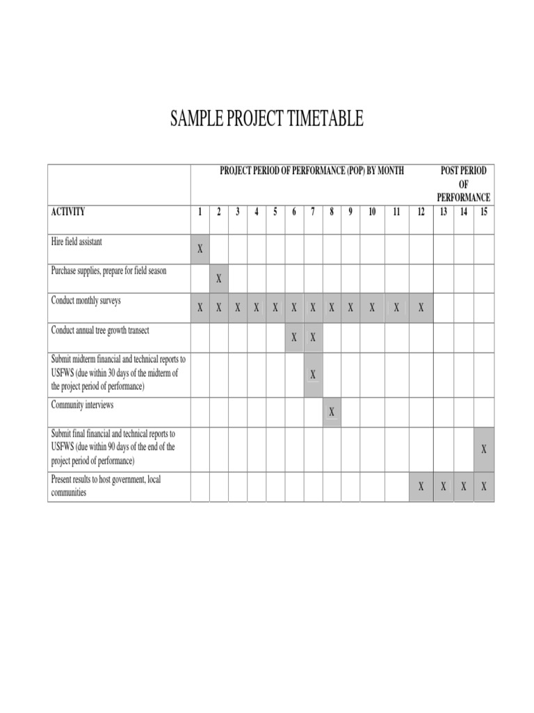 Sample Project Timetable | PDF