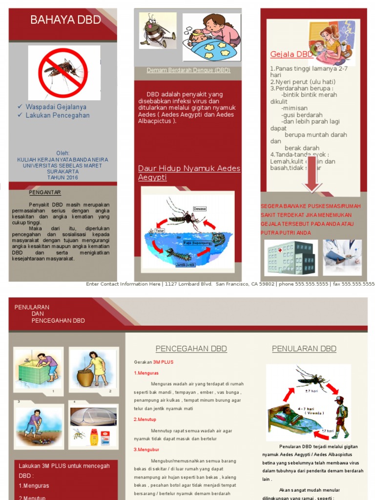 Pamflet Pencegahan DBD (3M PLUS) | PDF