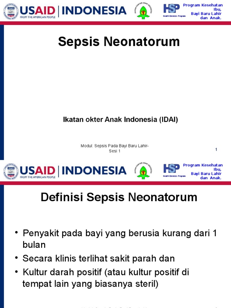 Infeksi Dan Sepsis Neonatus (Ponek) | PDF