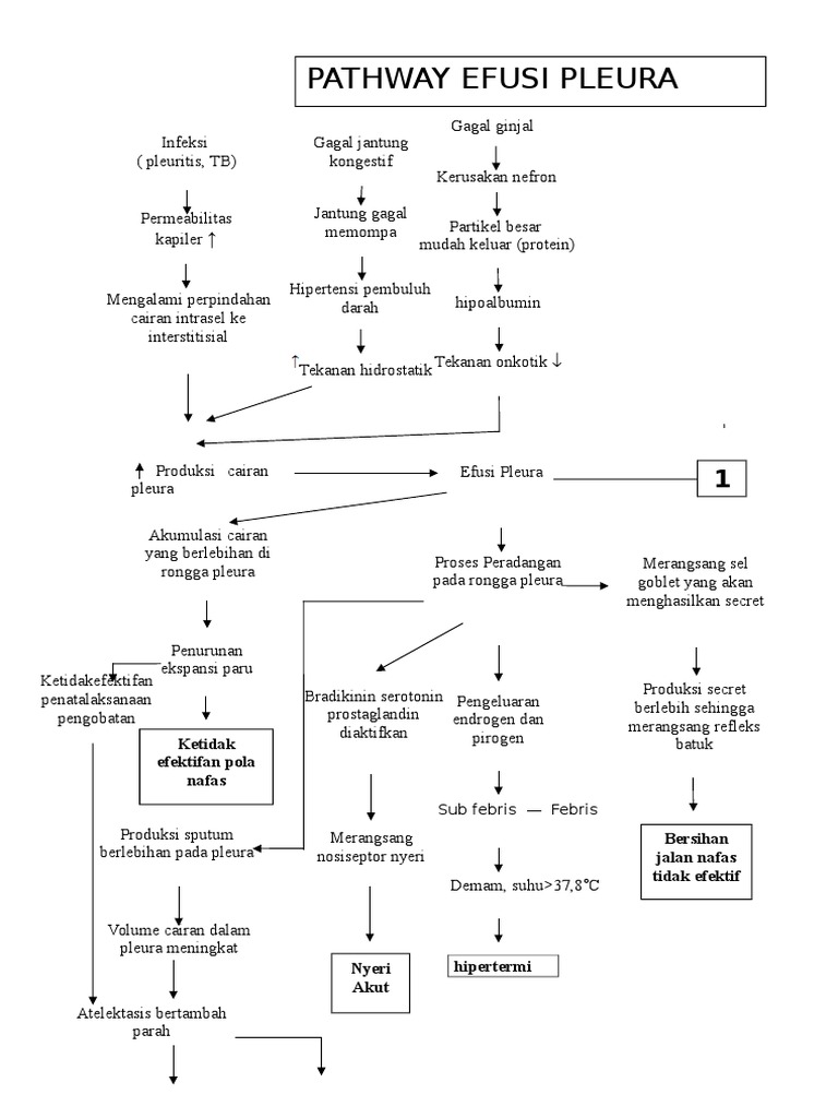 Pathway Efusi Pleura | PDF