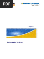 An Overview of BRAC Bank Limited | PDF | Banks | Employment