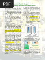 Principios de Los Procesos de Las Membranas de Intercambio Iónico | PDF ...