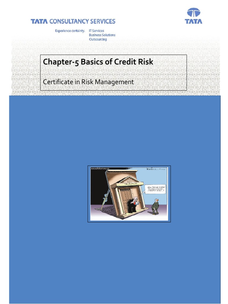 Credit Risk | Download Free PDF | Derivative (Finance) | Credit Risk