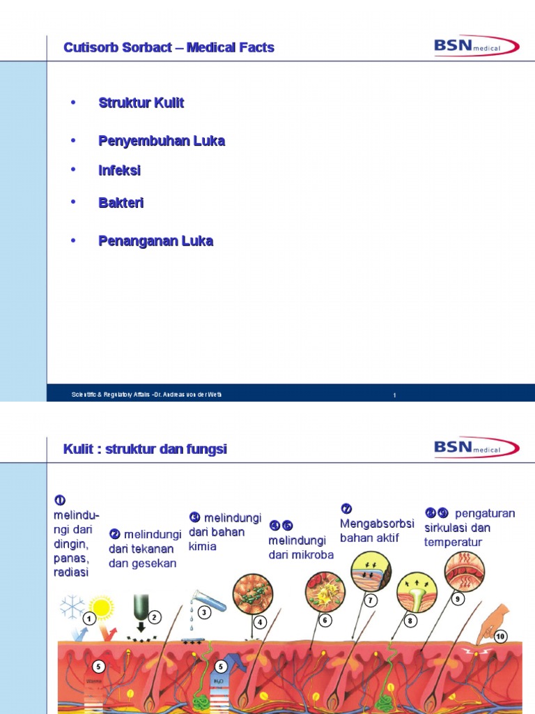 Wound Healing-Cutisorb Sorbact | PDF