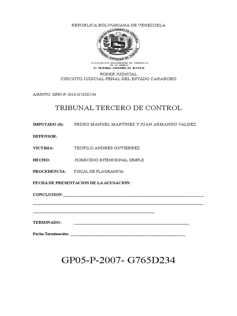 Expediente Penal Modelo | PDF | Venezuela | Ley procesal