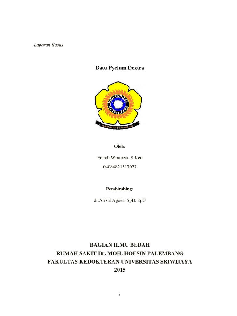 Laporan Kasus Frandi W-Batu Pyelum Dextra | PDF