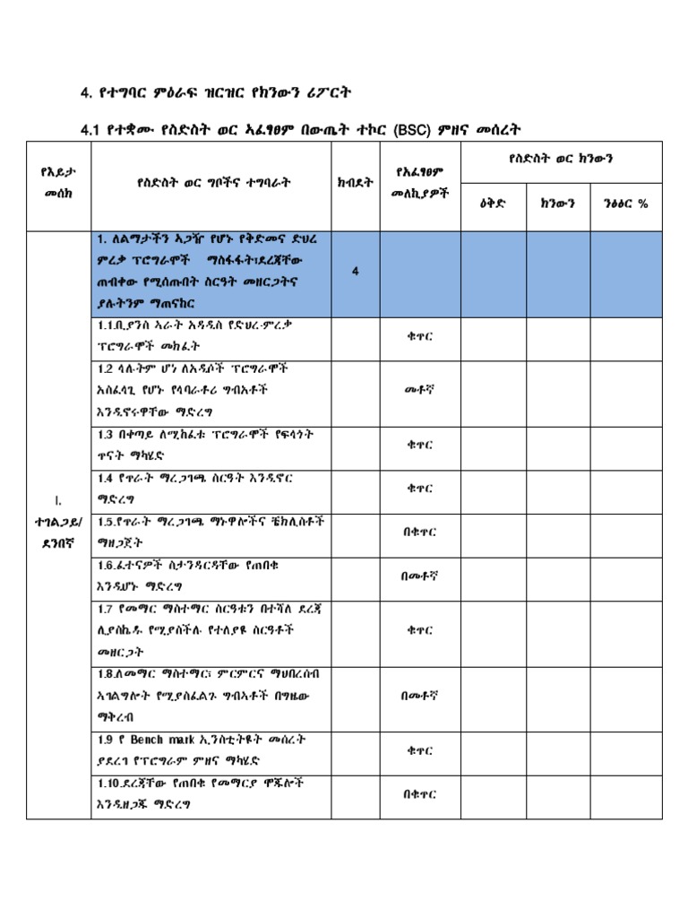 BSC Report Format revised 22.pdf