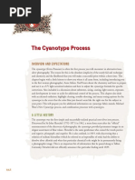 Cyanotype Worksheet | PDF | Art Media | Vision