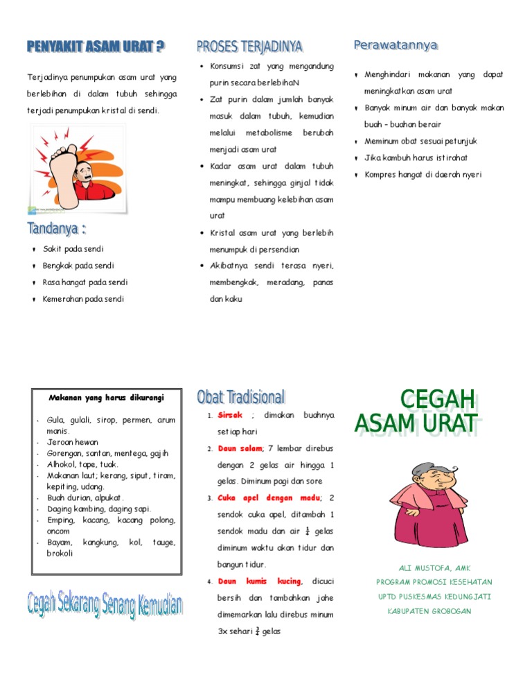 Leaflet Asam Urat | PDF