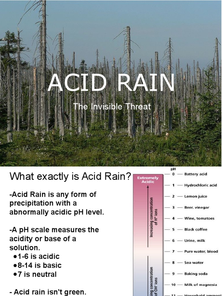 Acid Rain | PDF