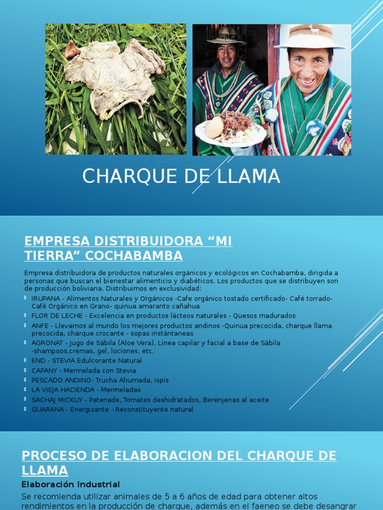 Proceso de Elaboración del Charque de Llama | PDF | Cocina, comidas y vino