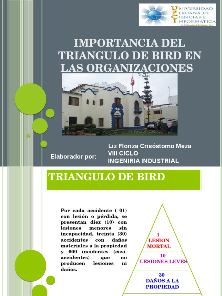 Importancia del Triángulo de Bird | PDF | Negocios | Ciencias sociales