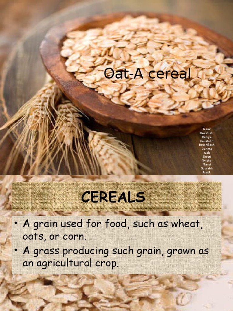 Oats: History and Uses | PDF