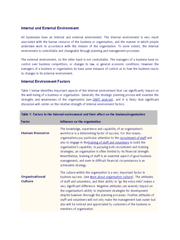 Internal and External Environment | PDF | Competition | Strategic ...