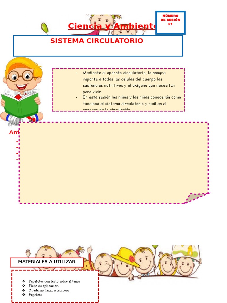 Sesion Del Sistema Circulatorio | PDF | Sistema circulatorio | Anatomía