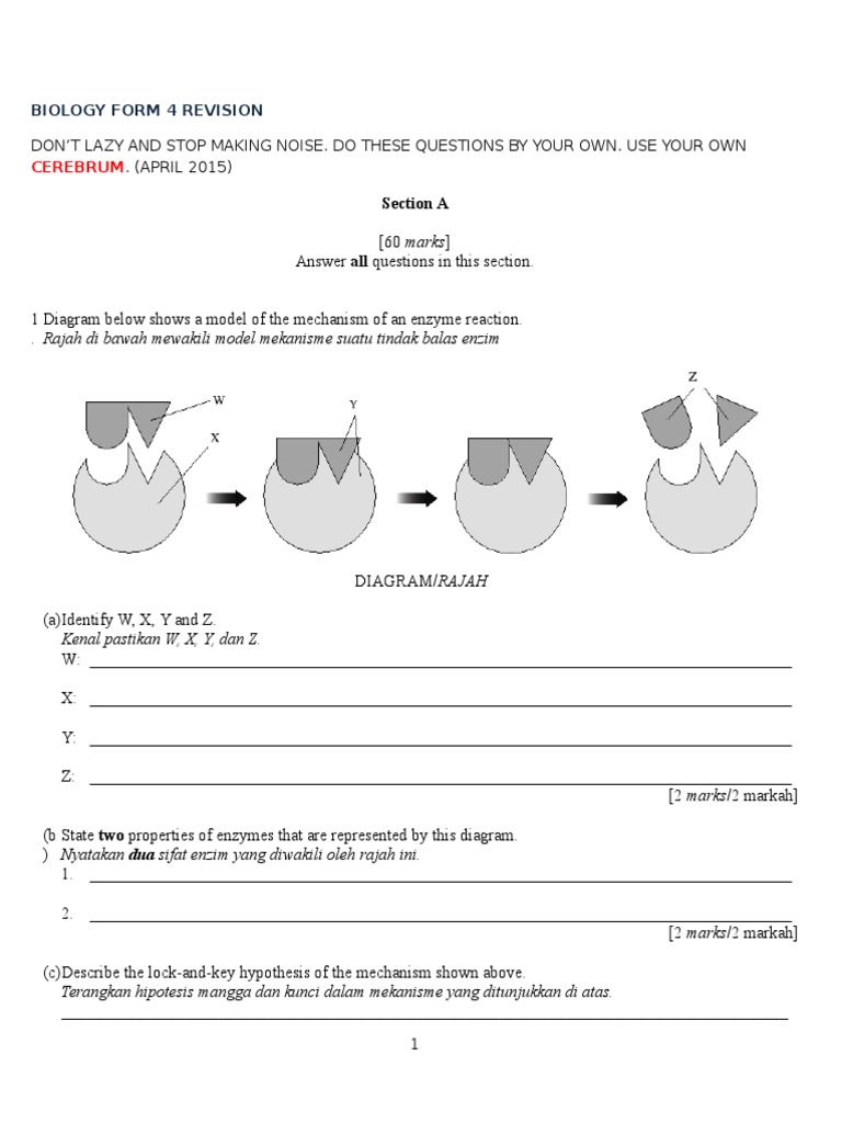 Biology Form 4 Revision | PDF | Hydrolysis | Enzyme