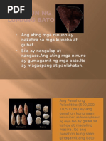 Panahon NG Luma at Bagong Bato | PDF