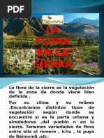 Flora de la Sierra Peruana | PDF | Arboles | Perú