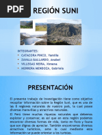 La Región Suni | PDF
