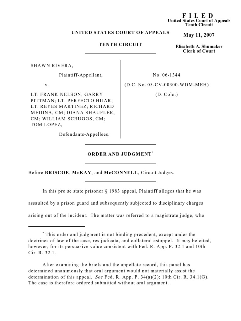 Rivera v. Nelson, 10th Cir. (2007) | PDF | Precedent | Summary Judgment
