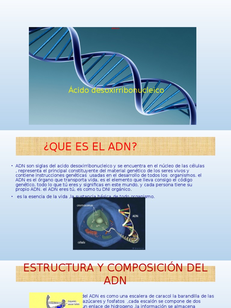 Diapositiva Adn | Adn | Ciencias de la tierra y de la vida