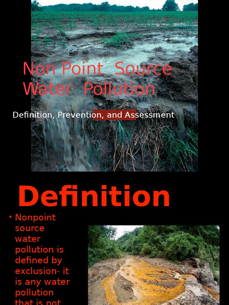 Nonpoint Source Water Pollution | PDF