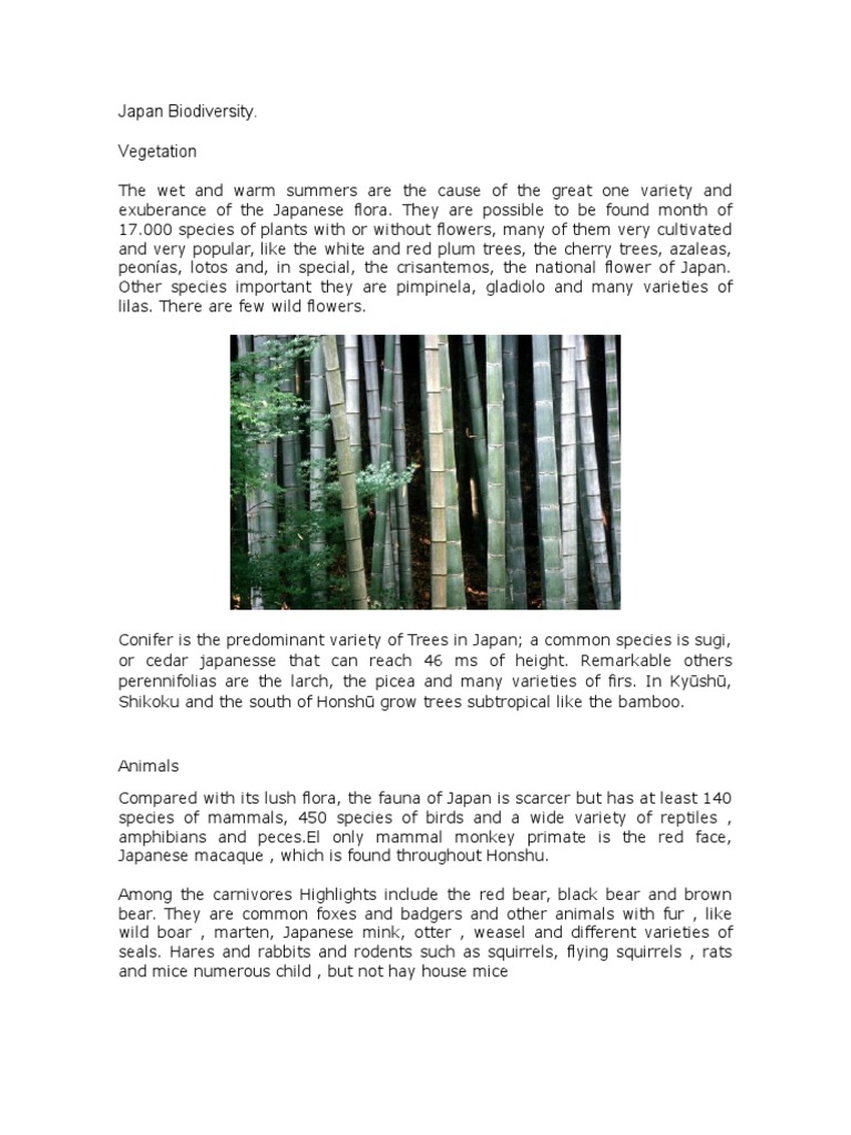 An Overview Of Japan S Rich Biodiversity Including Abundant Flora Such