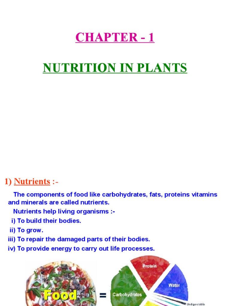 Chapter - 1: Nutrition in Plants | PDF | Nutrition | Diet & Nutrition