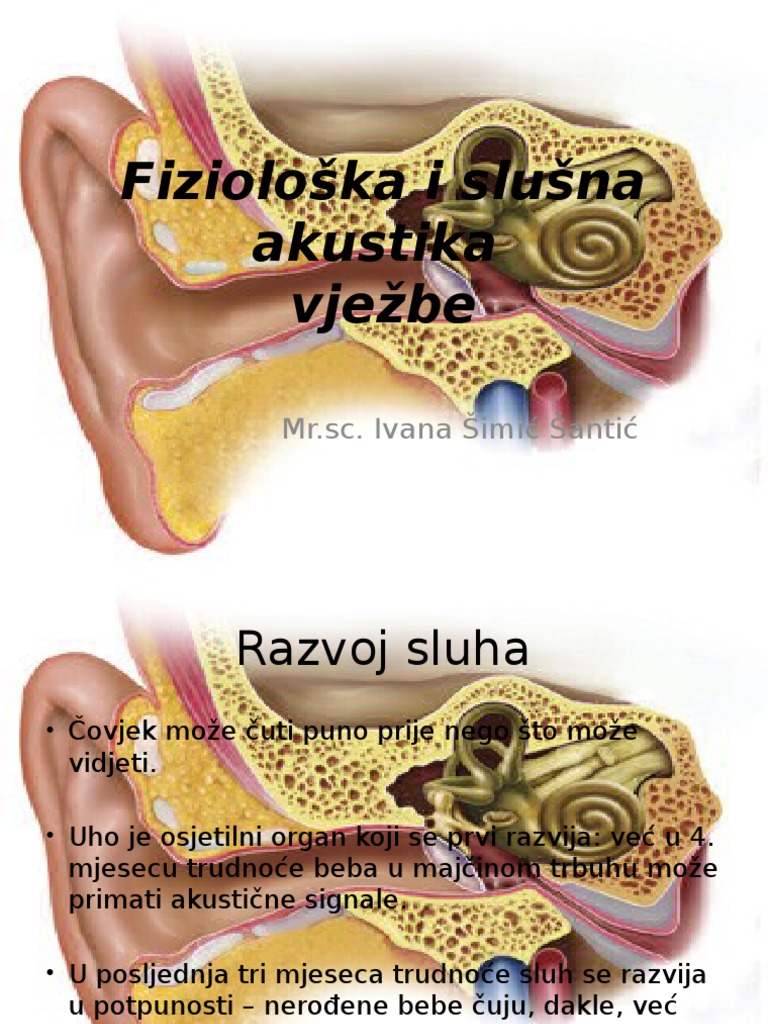 Fiziologija Sluha | PDF