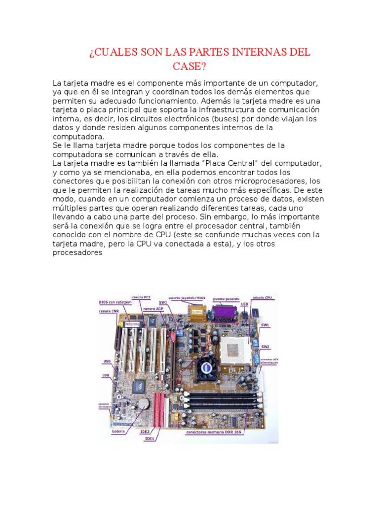 Partes internas del case de computadora | PDF | Caché (Computación ...