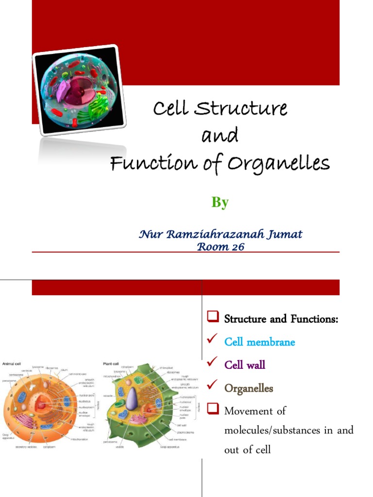2.lecture 2 - Cell Structure and Function of Organelles PDF | PDF ...