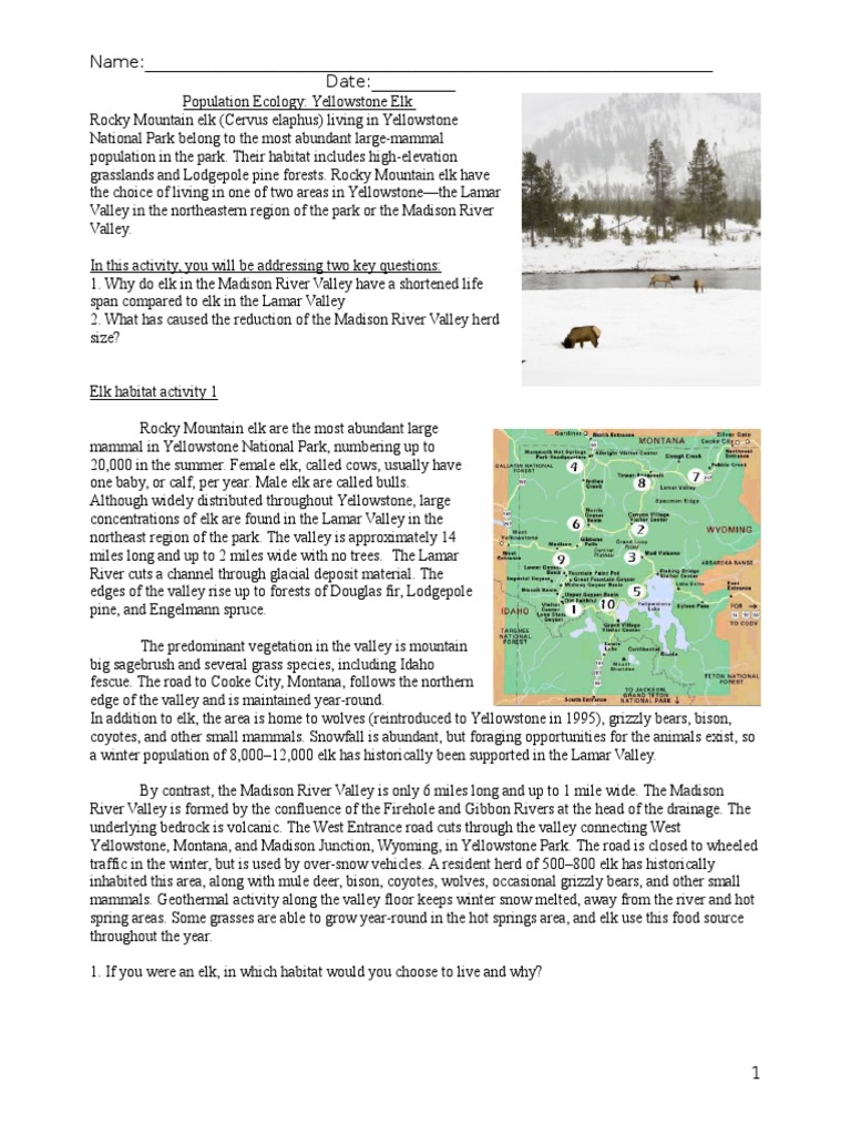 Population Ecology Project | PDF | Yellowstone National Park | Elk