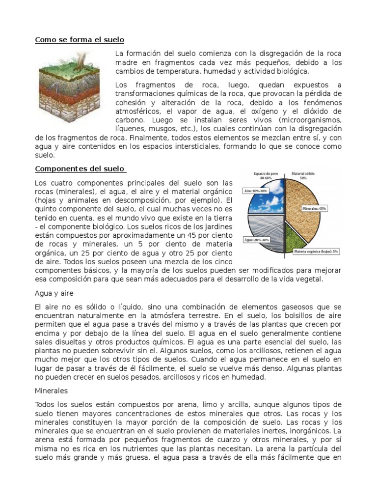 Como Se Forma El Suelo | PDF | Suelo | Minerales