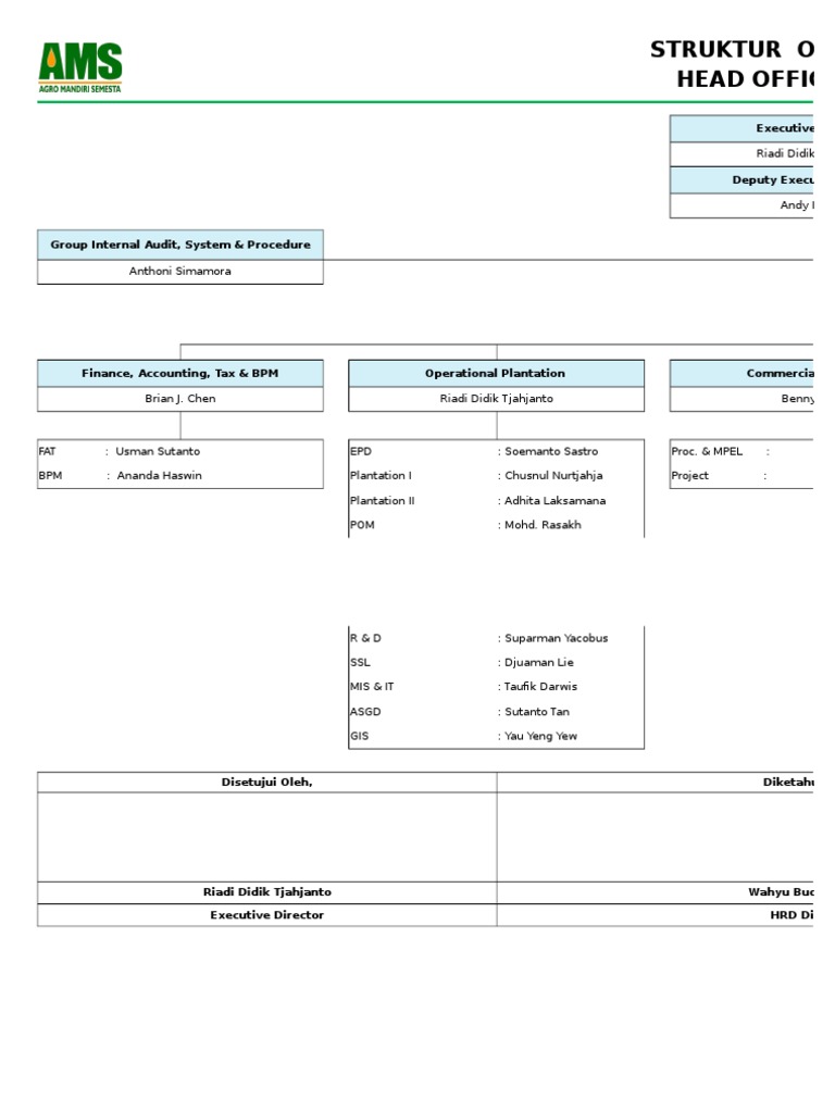 Organization Chart AMS-2016 HO-Feb | PDF | Accounting | Business
