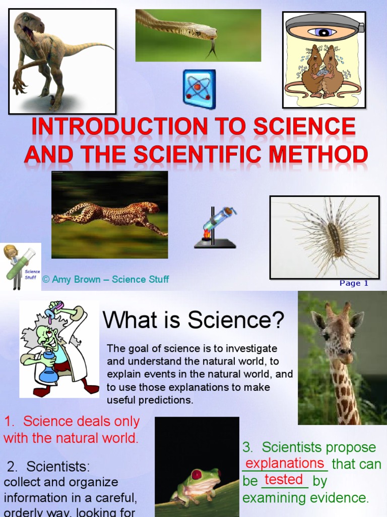 Scientific Method PowerPoint | PDF