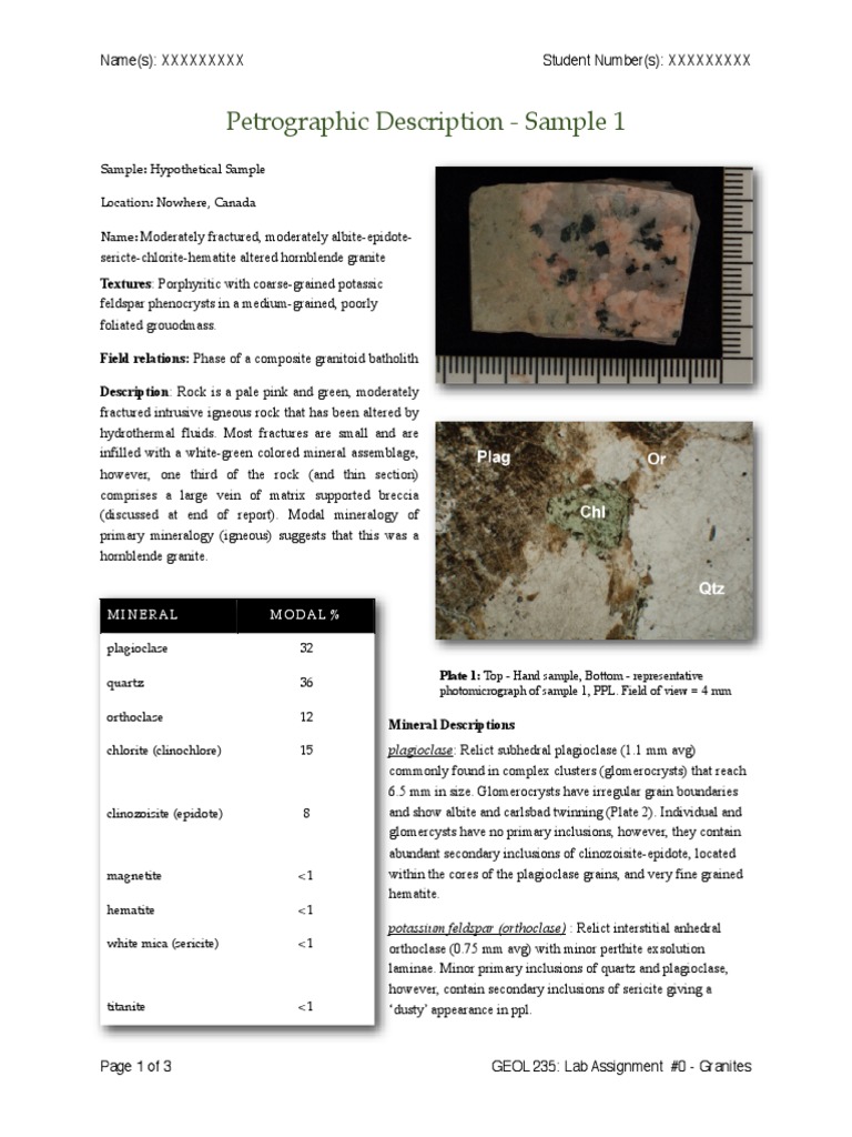Example of Petrographic Report | PDF | Granite | Igneous Rock