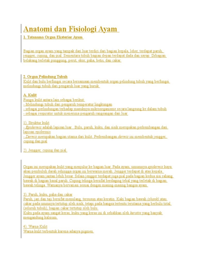 Anatomi Dan Fisiologi Ayam | PDF