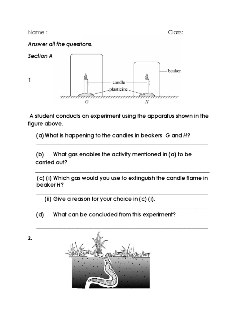 Exercise Chapter 4 Form 1 | PDF | Teaching Methods & Materials