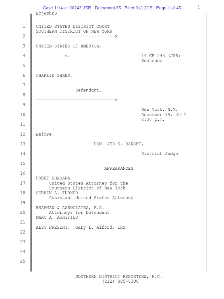 Charlie Shrem Sentencing | PDF | Illegal Drug Trade | United States ...