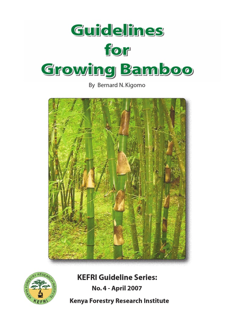 Guidelines For Growing Bamboo | PDF | Bamboo | Plant Nursery
