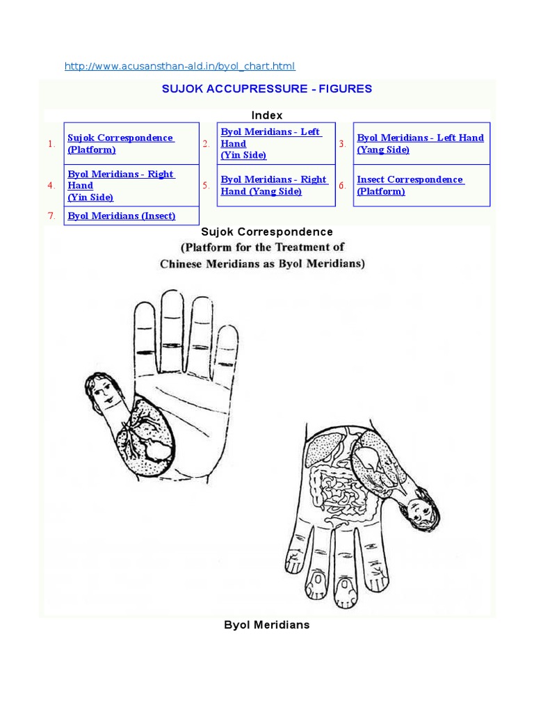 Sujok Accupressure - Harta Meridiane Byol | Download Free PDF ...