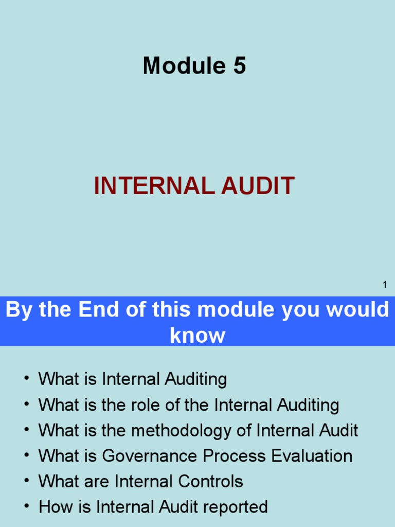 Module On Internal Audit | PDF | Internal Audit | Audit