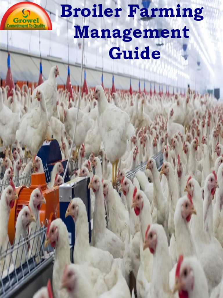 Broiler Farming Management Guide | PDF | Relative Humidity | Vitamin