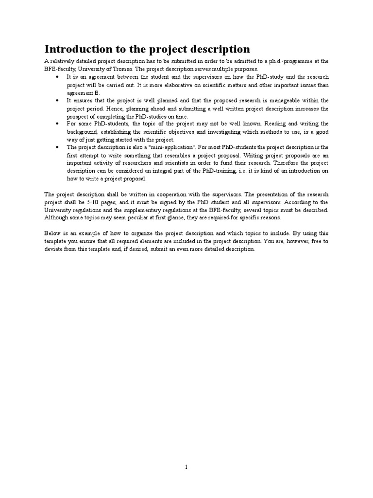 Project Description Template - BFE | PDF